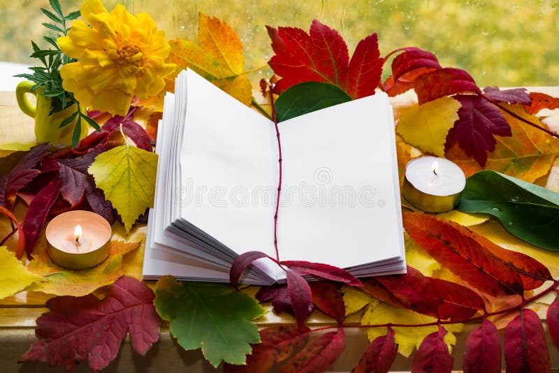 Autumn Multicolored Leaves, Notepad with White Blank Sheets and ...