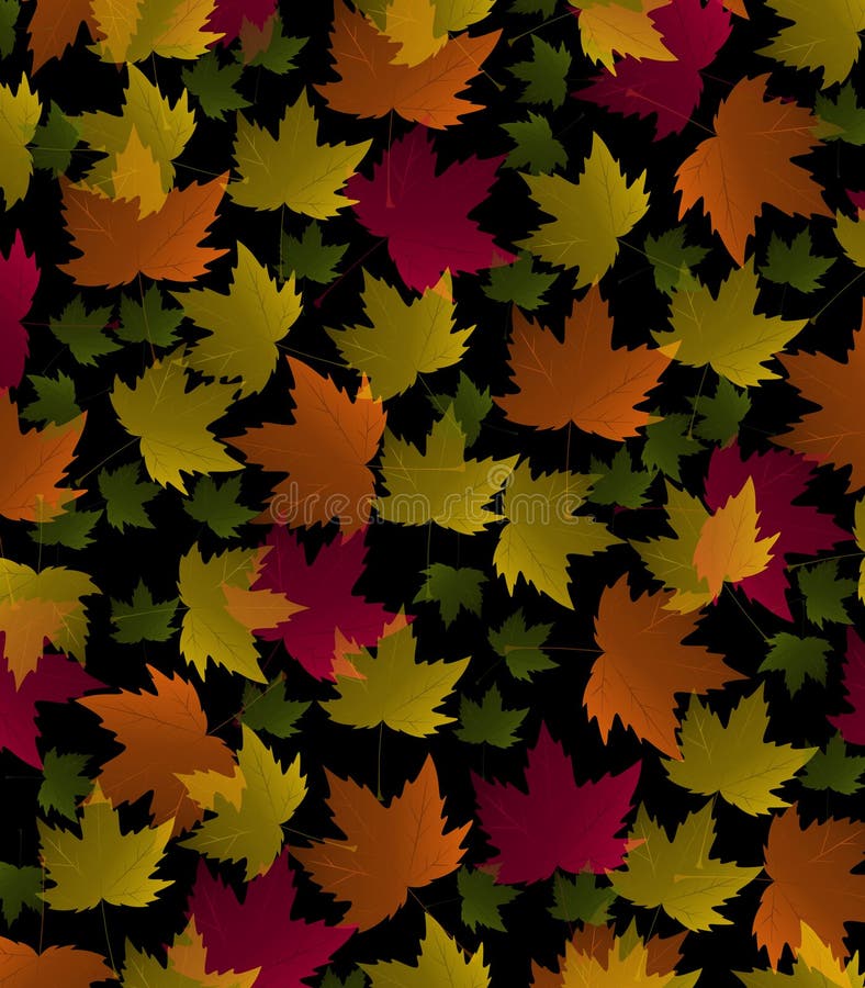 Autumn Multicolored Maple Leaves on Black Background. Stock ...
