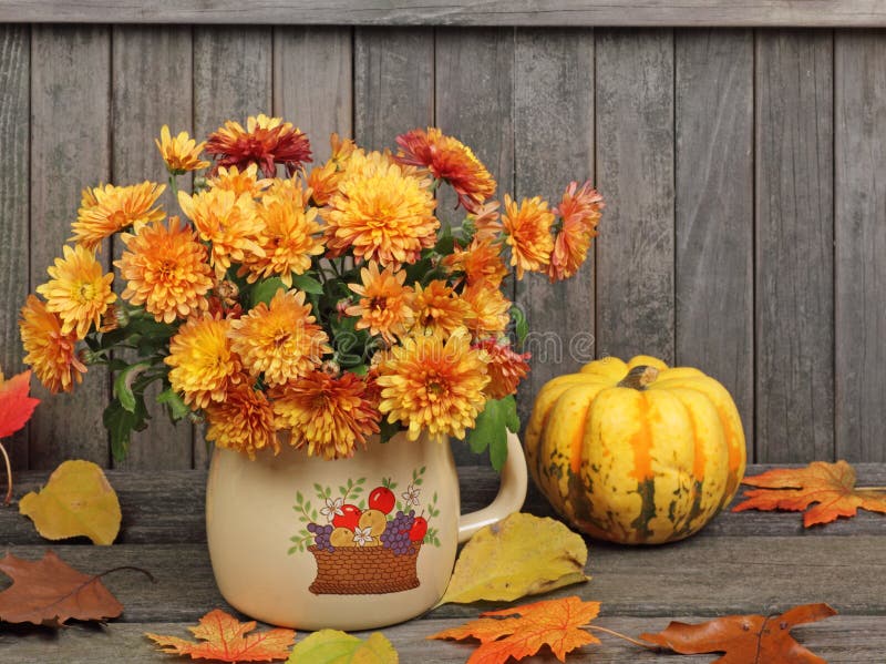 Autumn Mums stock image. Image of fall, nature, bouquet - 21757393