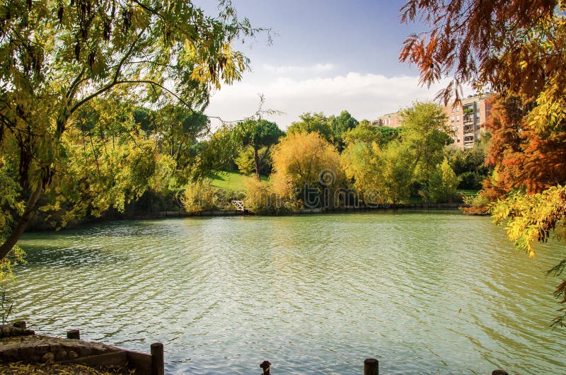 Autumn stock photo. Image of closeup, color, landscape - 62690078