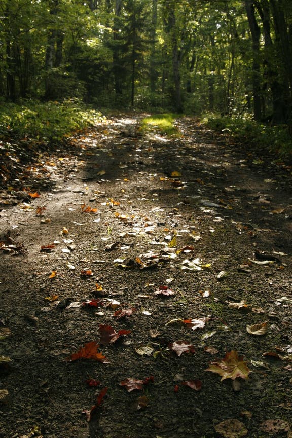 1,851 Nature Outside Path Autumn Fallen Stock Photos - Free & Royalty ...