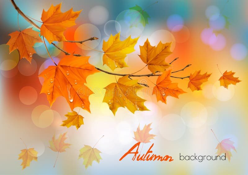 Autumn Nature Background with Colorful Leaves and Drops Stock Vector ...