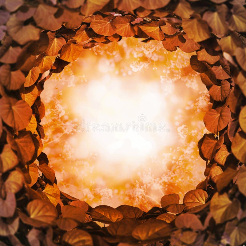 Autumn Nature Background. Leaf Frame Circle Stock Image - Image of ...