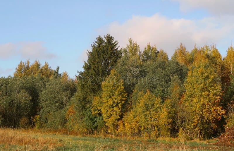 Autumn Nature, Beautiful Landscape of the Forest and Fields Stock Image ...