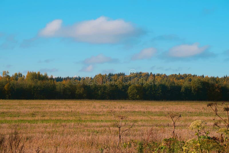 Autumn Nature, Beautiful Landscape of the Forest and Fields Stock Image ...