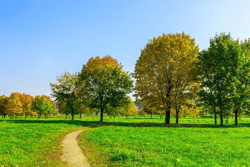 Autumn Nature with Footpath and Trees on Field Stock Photo - Image of ...