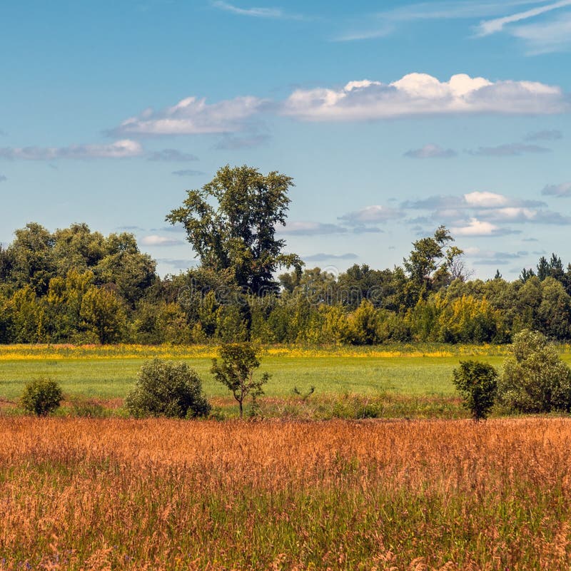 Autumn Nature in the Forest Steppe Part of Russia Stock Image - Image ...