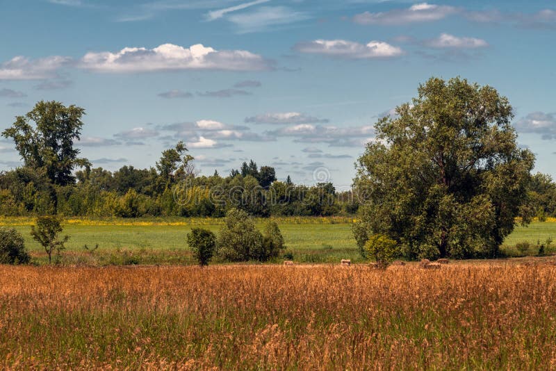 Autumn Nature in the Forest Steppe Part of Russia Stock Image - Image ...