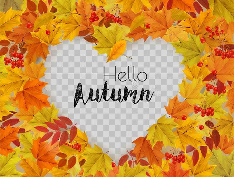 Transparent Autumn Leaves Frame Stock Photo - Image of isolated ...