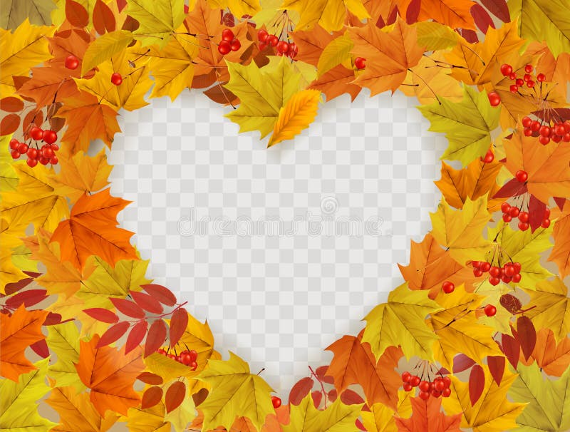 Transparent Autumn Leaves Frame Stock Photo - Image of isolated ...