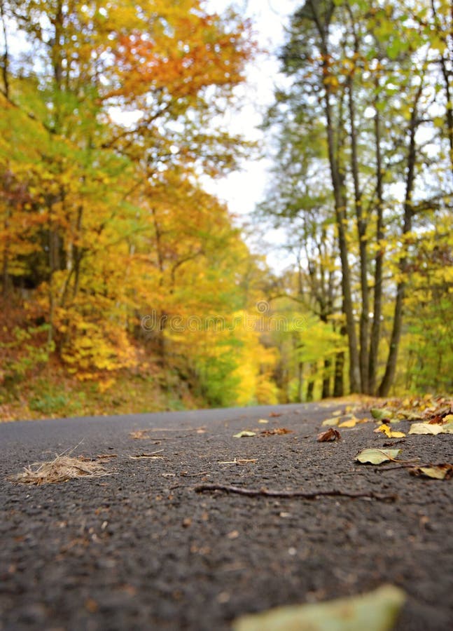 Autumn nature stock image. Image of color, copyspace - 102091727