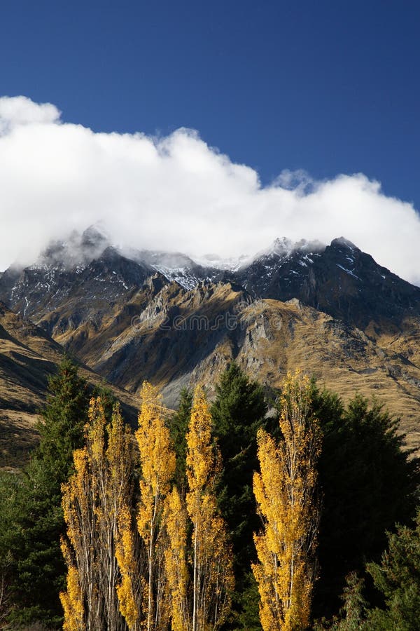 Autumn in New Zealand stock photo. Image of location, brown - 1454598