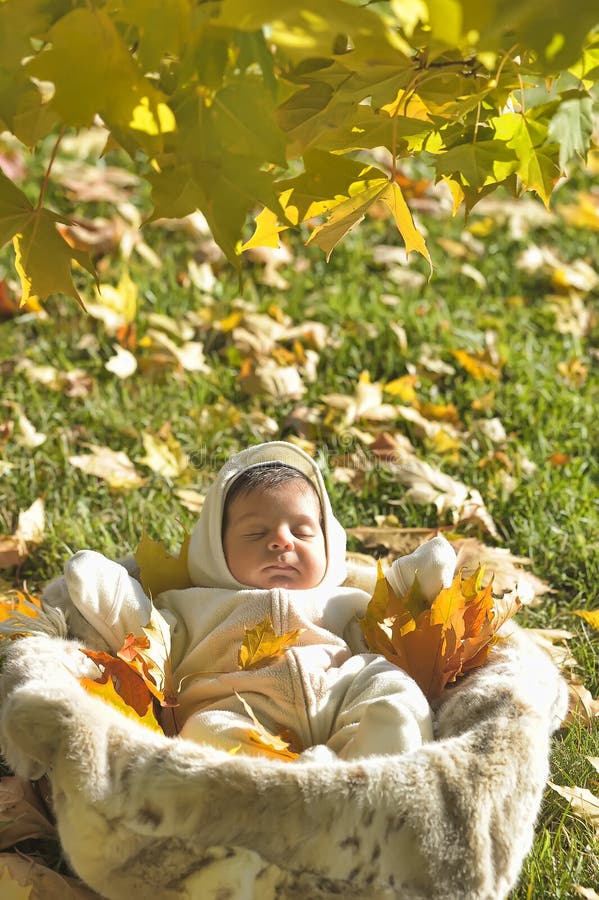 Autumn newborn baby stock photo. Image of hands, comfortable - 40112496
