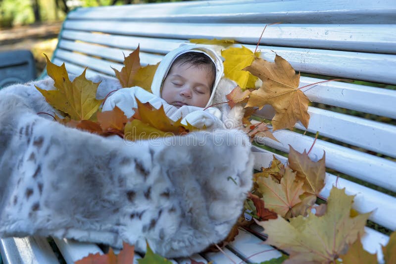 Autumn newborn baby stock image. Image of lying, head - 40274687