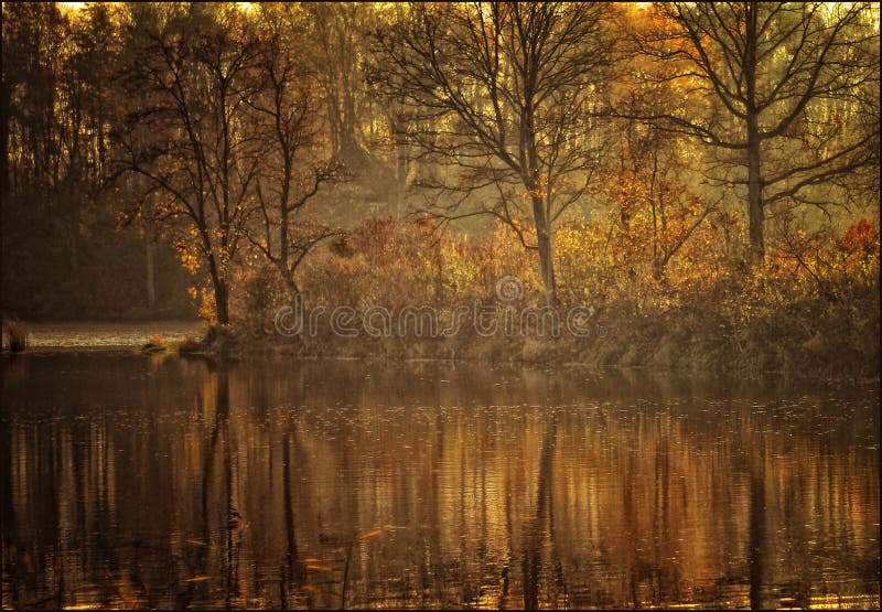 Evening Sight of a Natural Park Stock Photo - Image of tables, view ...