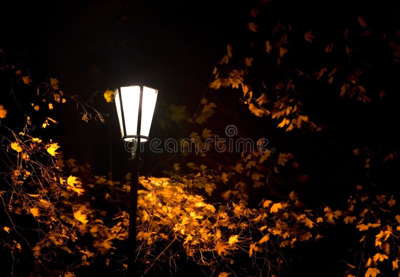 Autumn night stock image. Image of prague, night, light - 4651661