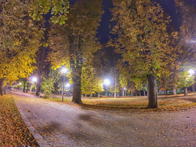Autumn night stock photo. Image of pathway, seasonal - 128768722
