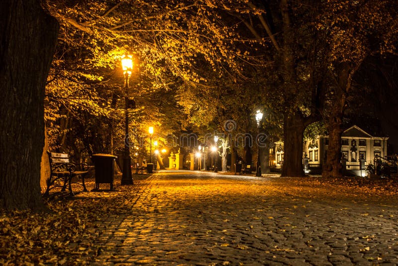Autumn Night Park. Light of Lanterns in the Night Park. Background ...