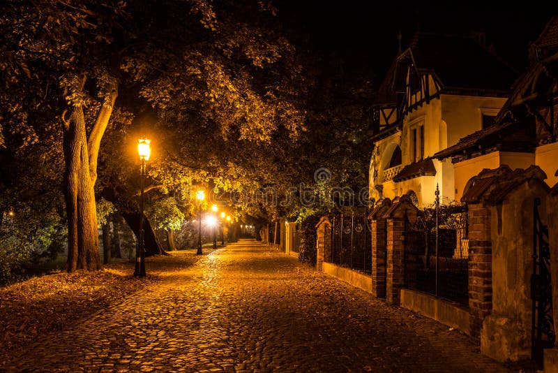 Autumn Night Park. Light of Lanterns in the Night Park. Background ...