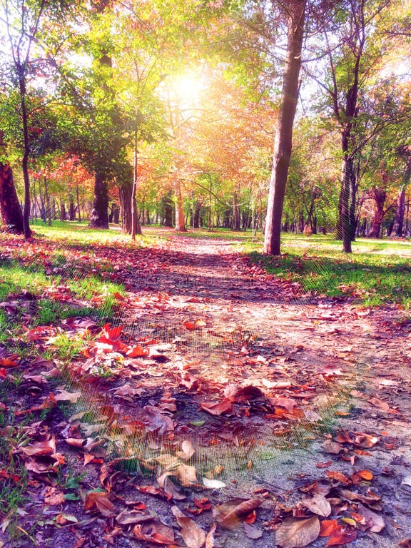 Autumn nostalgic park path stock image. Image of central - 27867643