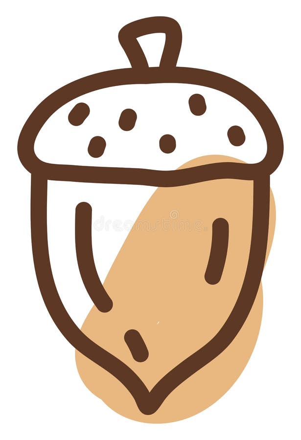Autumn nut, icon stock vector. Illustration of healthy - 260370170
