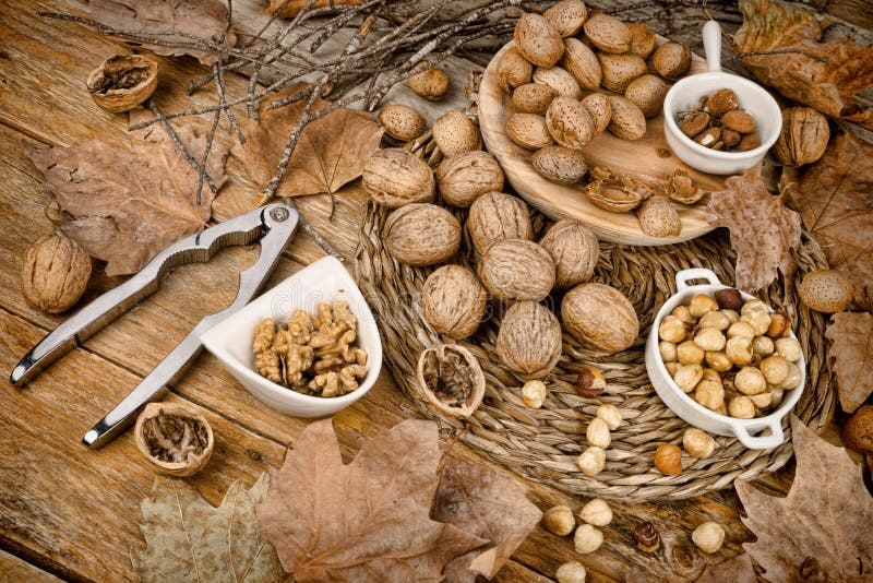 Autumn nuts stock image. Image of open, hazelnuts, full - 45068689