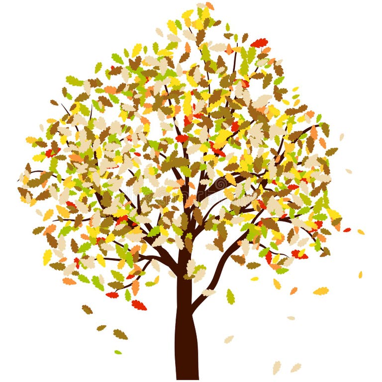 Autumn Oak Tree Stock Illustrations – 70,585 Autumn Oak Tree Stock ...