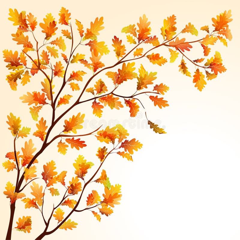 Autumn tree branch stock vector. Illustration of design - 20815664