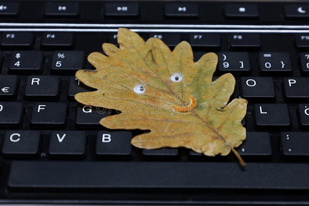 Autumn Oak Leaf Lies on a Computer Keyboard Stock Image - Image of ...