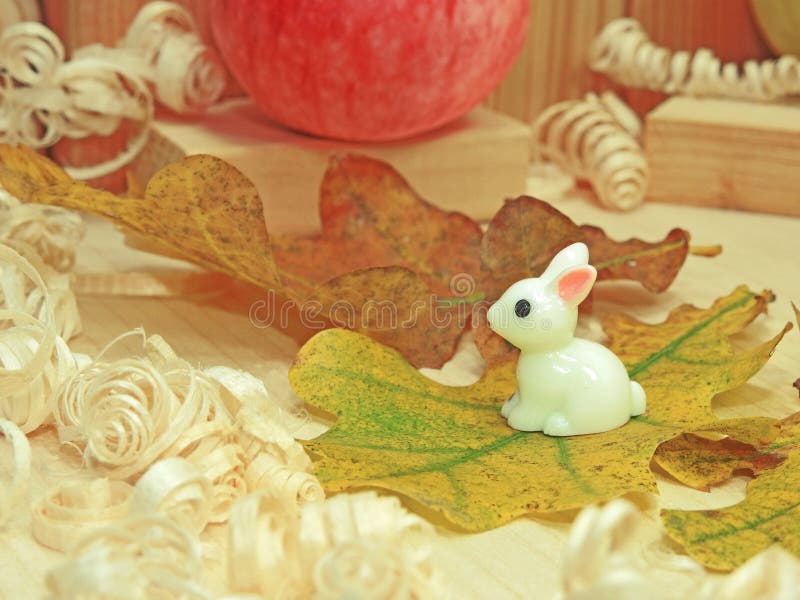 Autumn Objects Abstract Composition Stock Image - Image of grass, fire ...