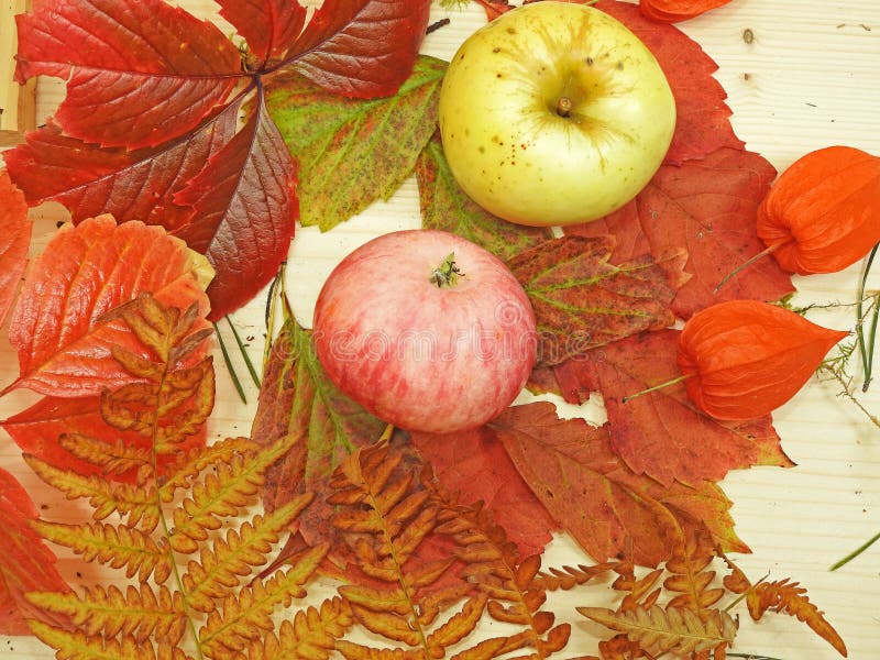 Autumn Objects Abstract Composition Stock Image - Image of fire ...