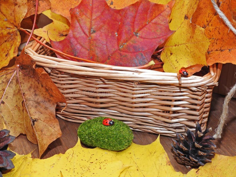 Autumn Objects Abstract Composition Stock Photo - Image of autumn ...