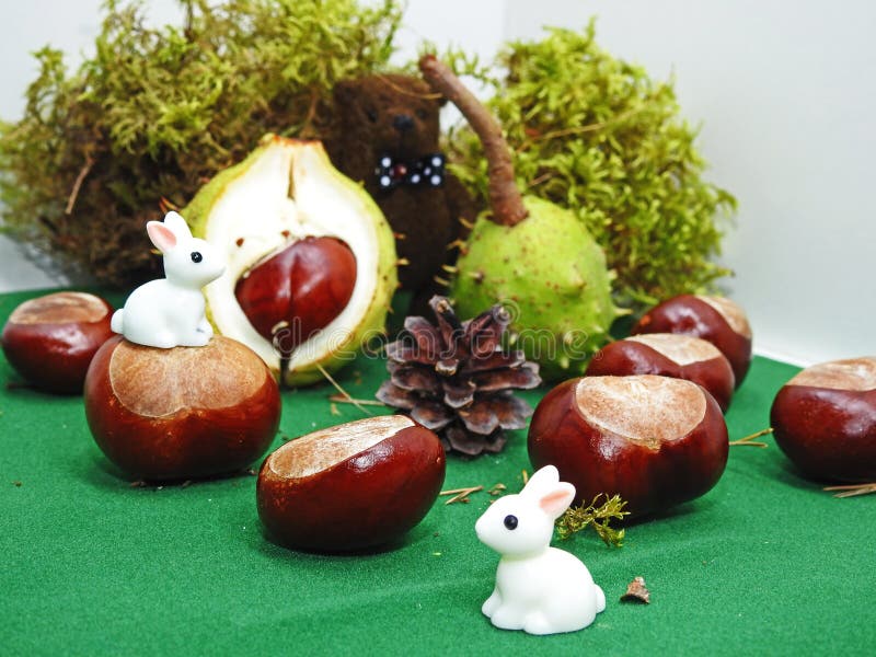 Autumn objects composition stock photo. Image of decay - 77877466