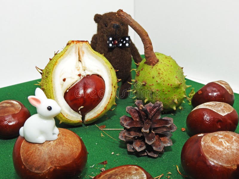 Autumn objects composition stock image. Image of fall - 77877683