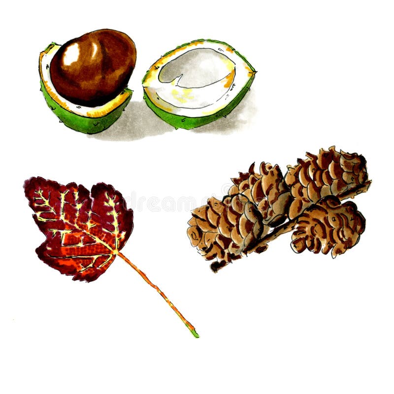 Autumn objects stock illustration. Illustration of hand - 61641308