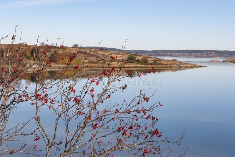 Autumn by the ocean stock image. Image of view, nature - 81937307