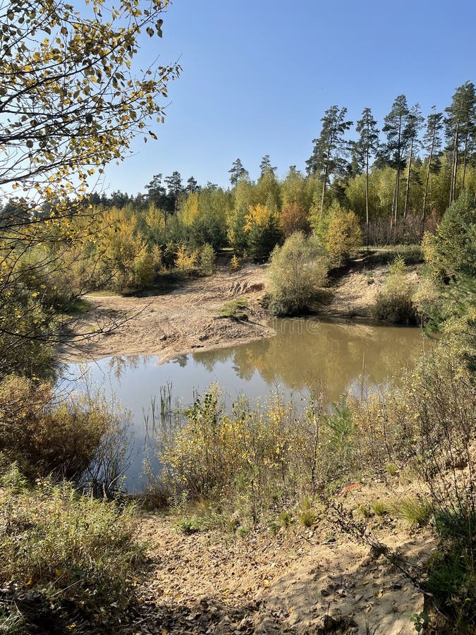 October Forest in the Reserve! Stock Image - Image of deciduous ...