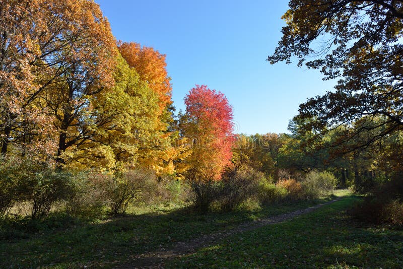 Autumn in October stock image. Image of pond, colorful - 130477349
