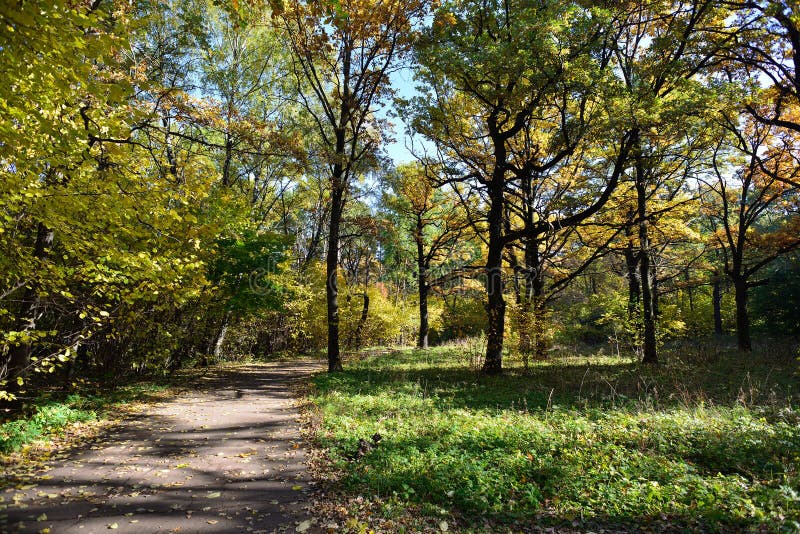 Autumn in October stock image. Image of forest, botanic - 130477389