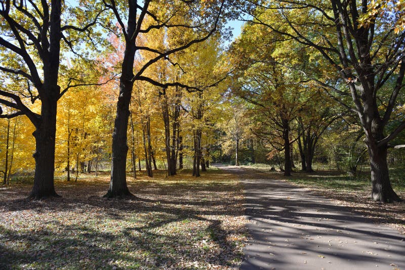 Autumn in October stock photo. Image of trees, colorful - 130478064