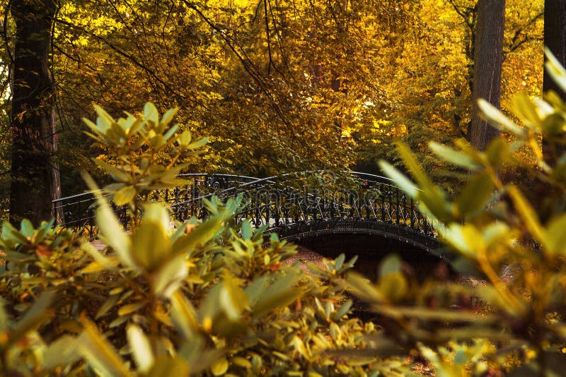 Autumn - Old Hiden Bridge in Autumnpark Stock Photo - Image of bush ...