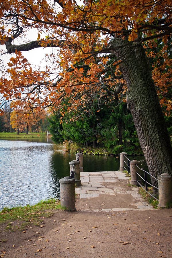 Emerson Park Pier View of Autumn Trees that Line Shoreline Stock Photo ...