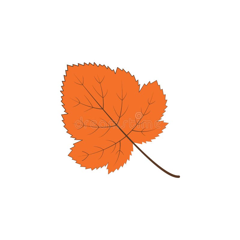 Autumn Orange Color Leaf Illustration Stock Illustration - Illustration ...