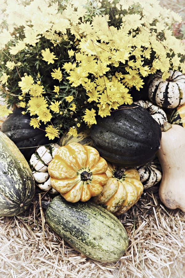 Autumn Outdoor Decor - Nostalgic 4 Stock Image - Image of garden ...