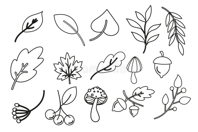 Autumn Outline Forest Elements Collection. Forest Clipart Stock Vector ...