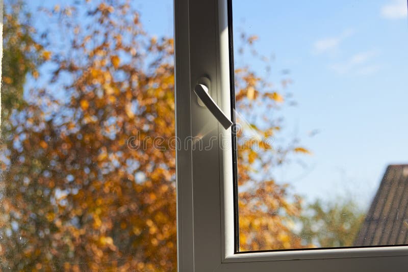 Autumn Outside the Window,autumn Came Outside the Tree Window Yellowed ...