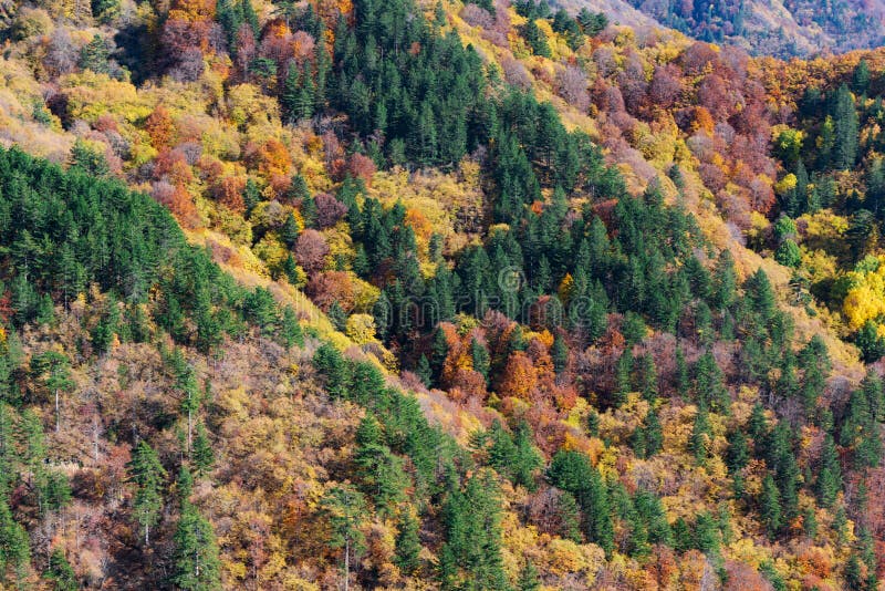 Autumn palette stock image. Image of environment, light - 90721227