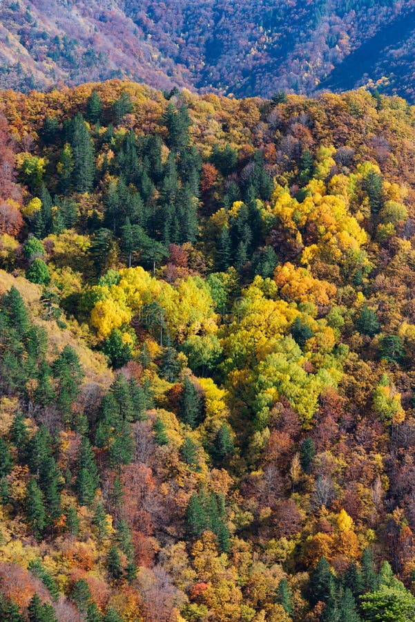 Autumn palette stock photo. Image of endless, horizontal - 90722974