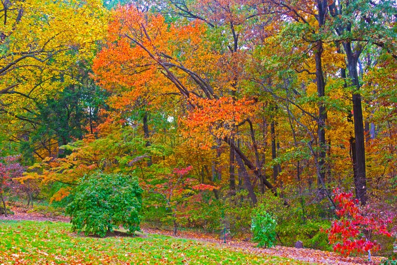 Autumn palette. stock image. Image of tree, nature, autumn - 32580187