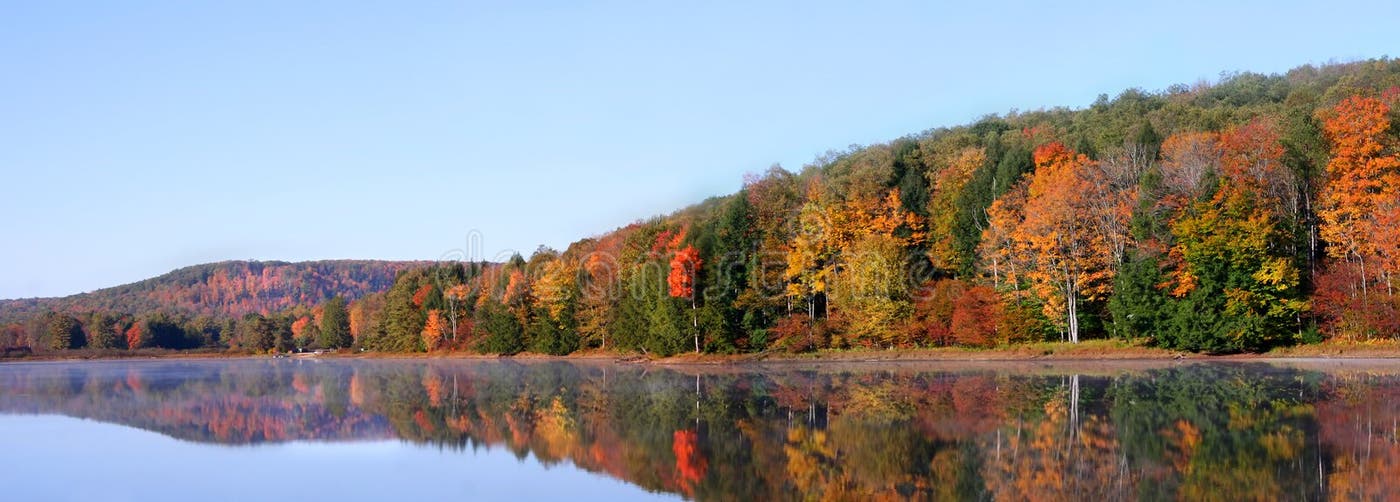 118 Allegheny National Forest Panorama Stock Photos - Free & Royalty ...